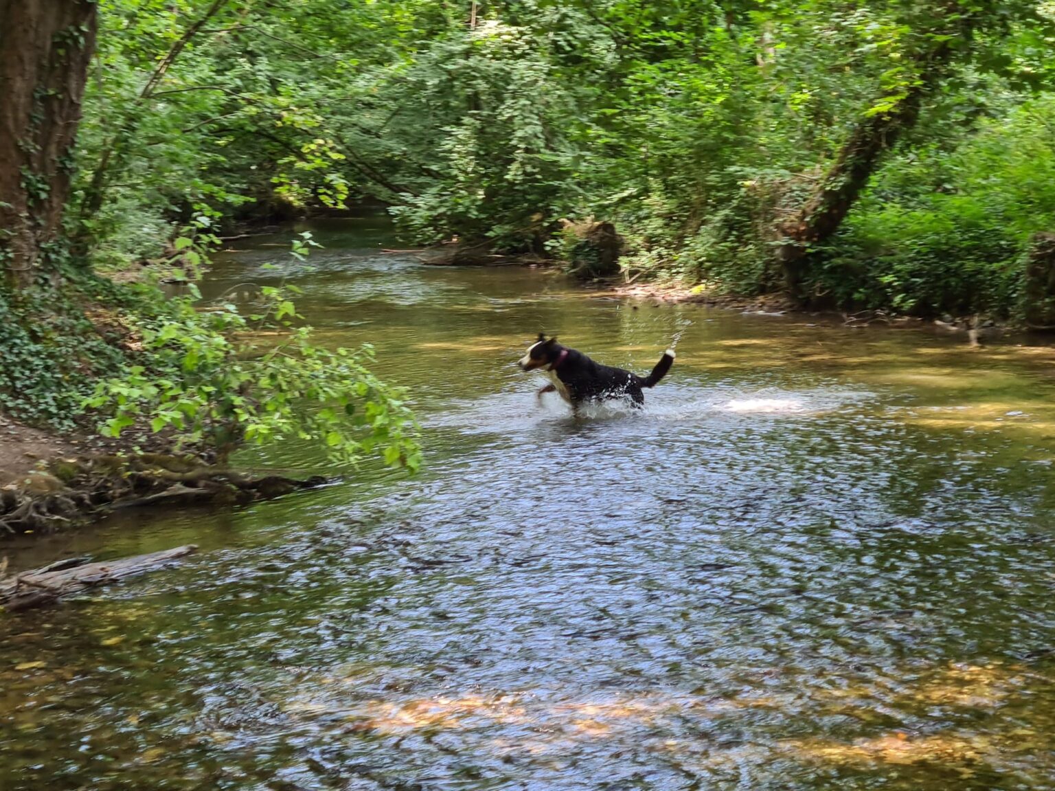 Office de tourisme du Saint-Quentinois | L'Art du Mouvement